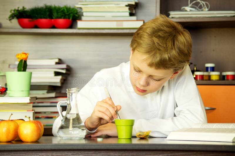 The Boy is Studying Biology Stock Image - Image of caucasian, home ...