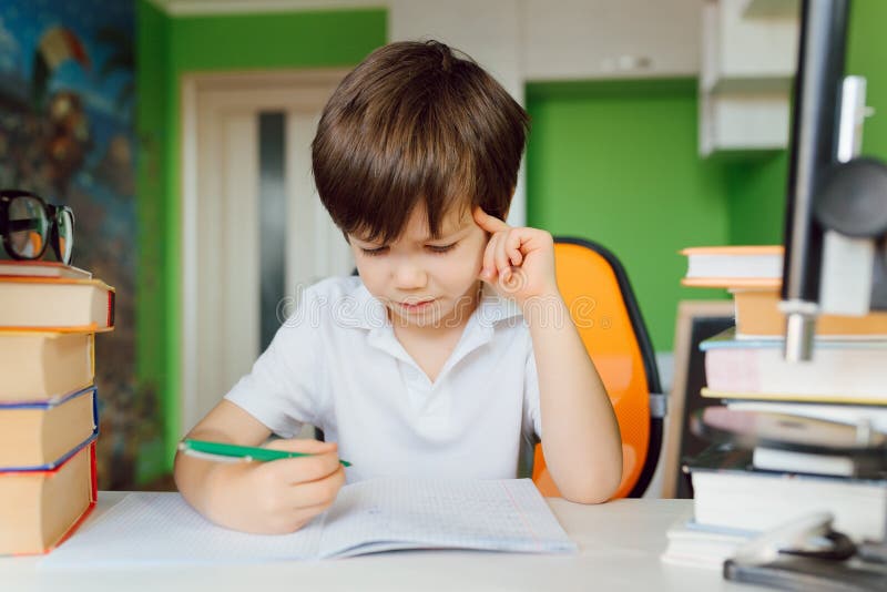 Boy Studying at Home with Notebook and Doing School Homework. Distance ...