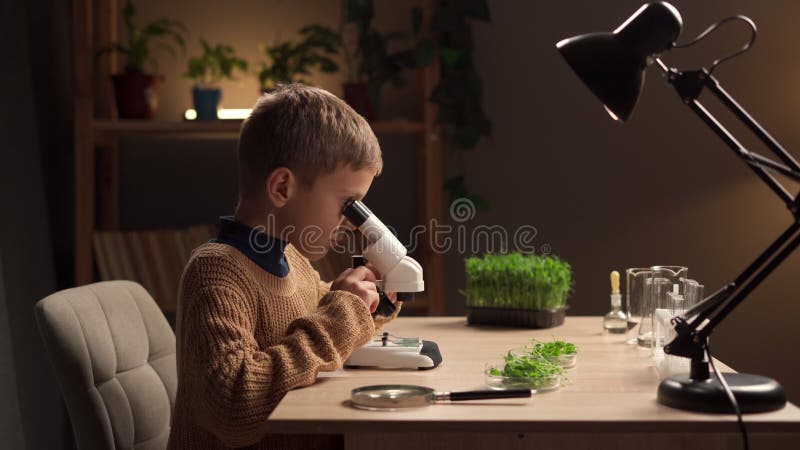 A Boy Studying Plants Using a Microscope Studies at Home in the Evening ...