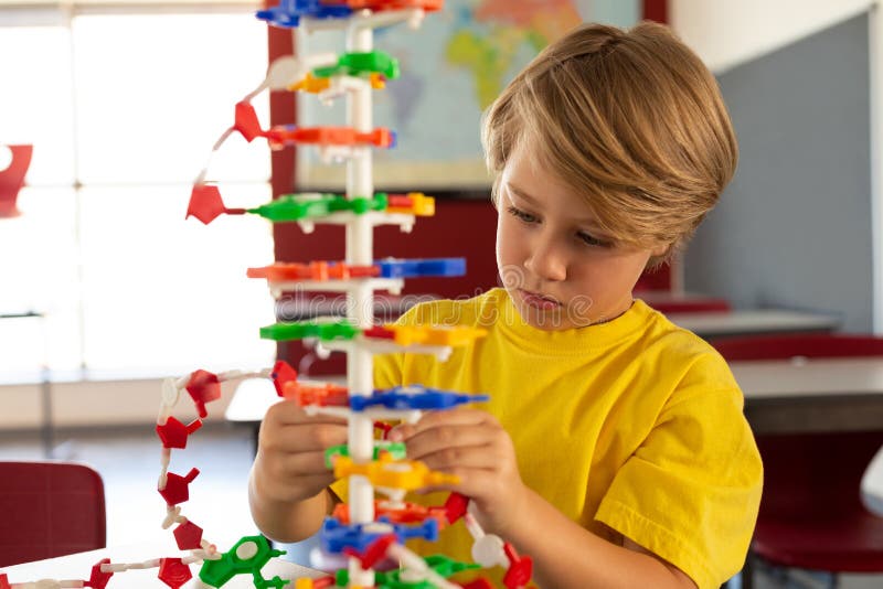 Boy Studying Science Model in Classroom Stock Image - Image of ...