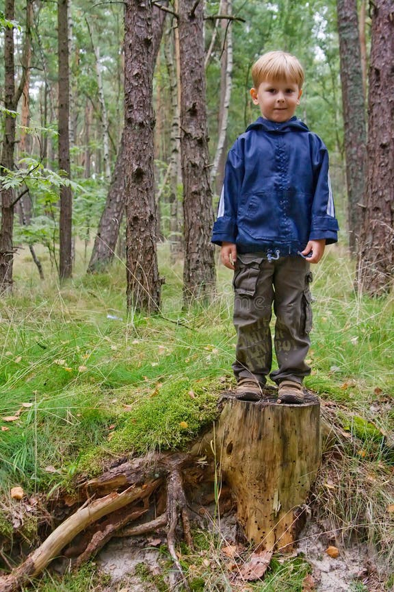 Boy on a Stump stock photo. Image of cute, human, young - 10844144