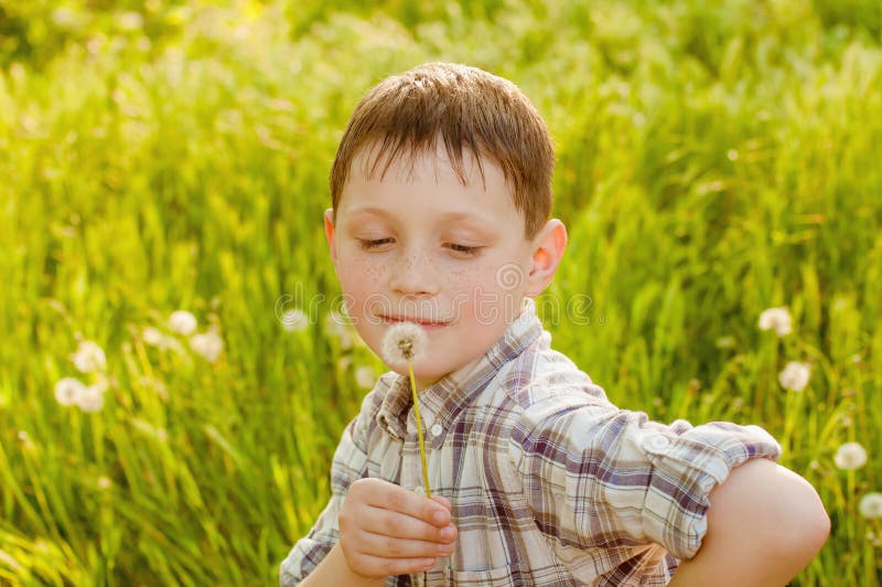 Boy on Summer Nature with Dandelions Stock Image - Image of dandelions ...