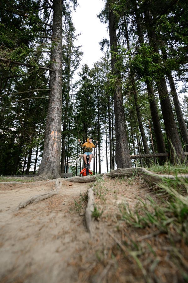 A Boy Swings on a Swing Somewhere in the Forest. Stock Image - Image of ...