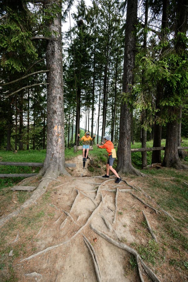 A Boy Swings on a Swing Somewhere in the Forest. Stock Image - Image of ...