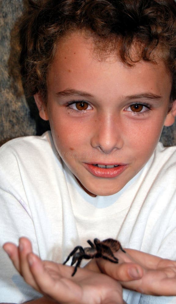 Boy with tarantula stock image. Image of male, collection - 6847697