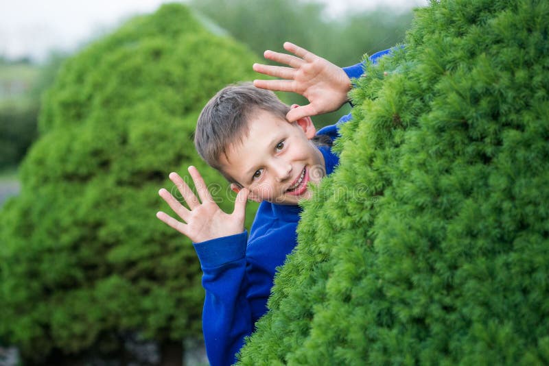 731 Bush Peeking Stock Photos - Free & Royalty-Free Stock Photos from ...