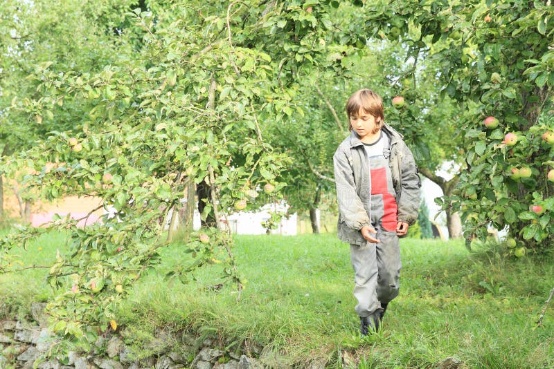 Boy throwing an apple stock photo. Image of throwing - 44248252