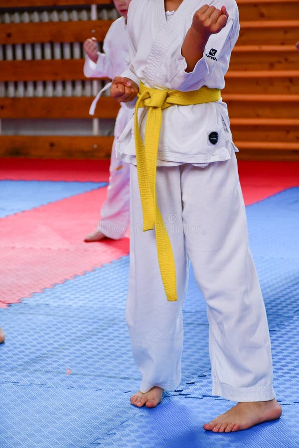Karate training editorial photography. Image of defence - 117285607