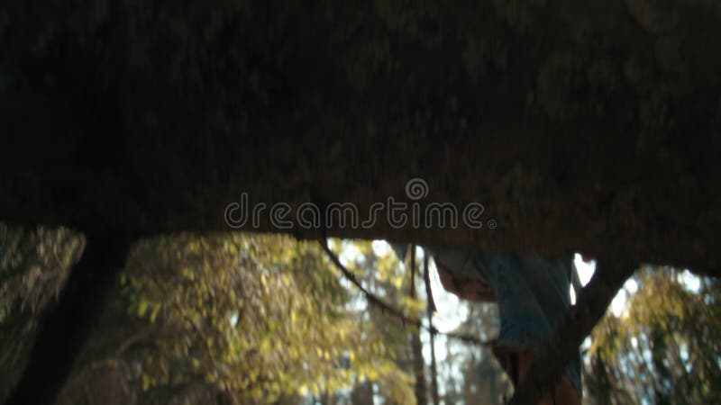 Traveler Boy Walking in the Forest, Climbs Over the Lying Tree, Boy ...