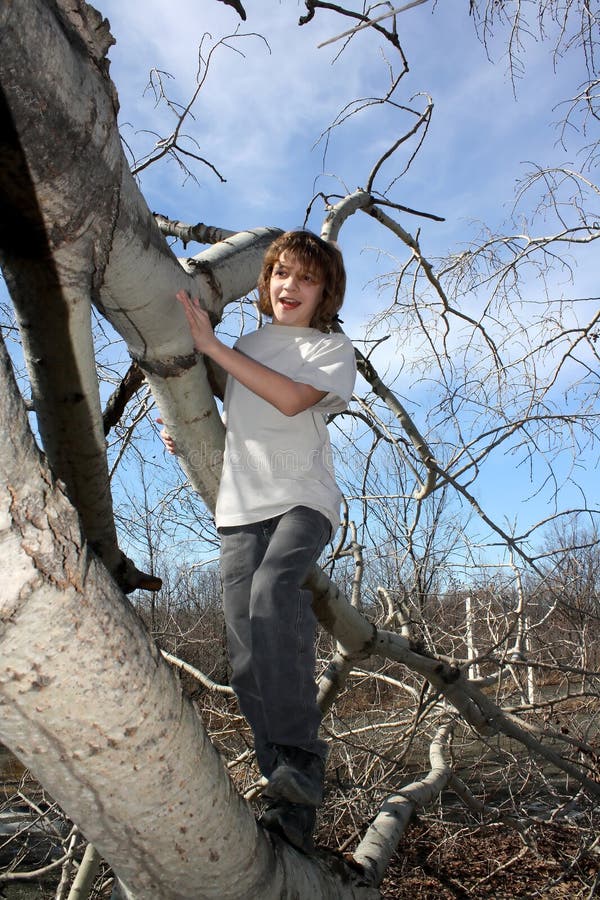 Boy Climbing Tree Looking To Right Stock Image - Image of tween, sunny ...
