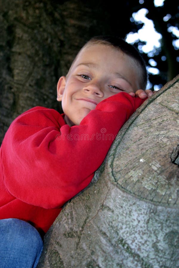 Boy in Tree stock image. Image of youth, children, leisure - 150991