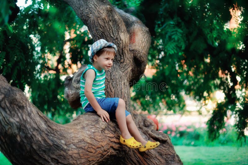 The boy on a tree stock image. Image of children, cloud - 25505013