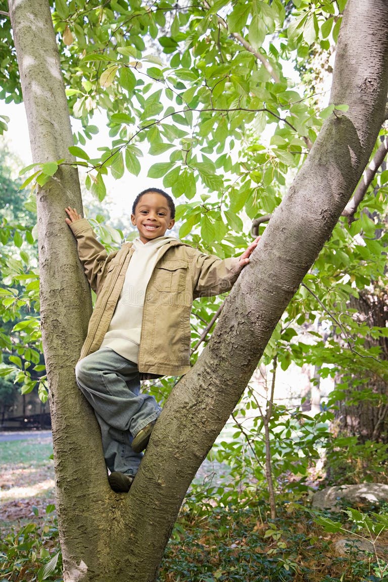 8,894 Black Boy Tree Stock Photos - Free & Royalty-Free Stock Photos ...