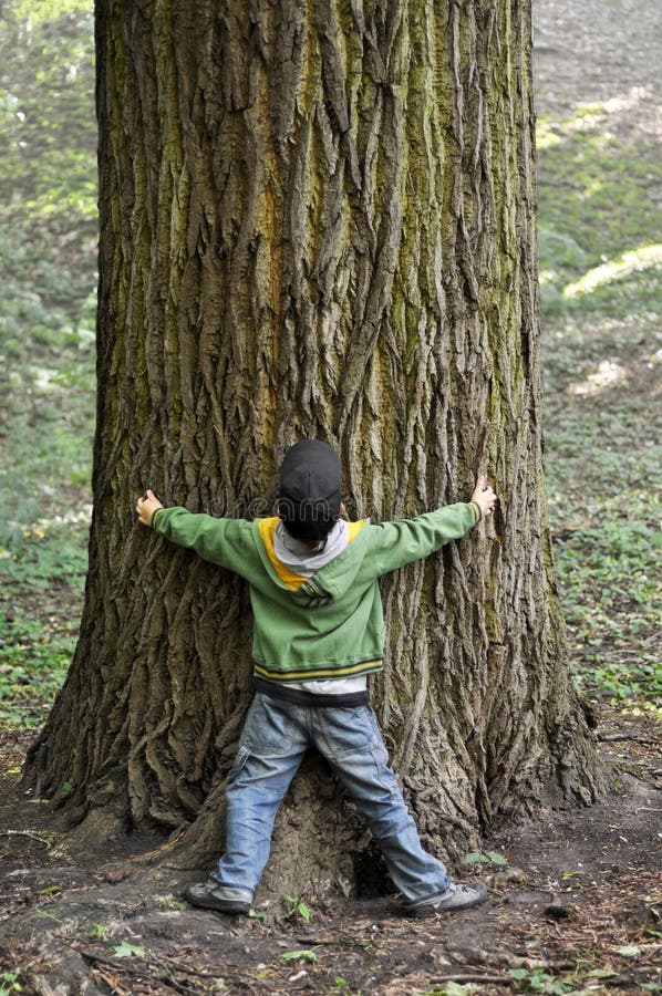 2,000+ Boy tree Free Stock Photos - StockFreeImages