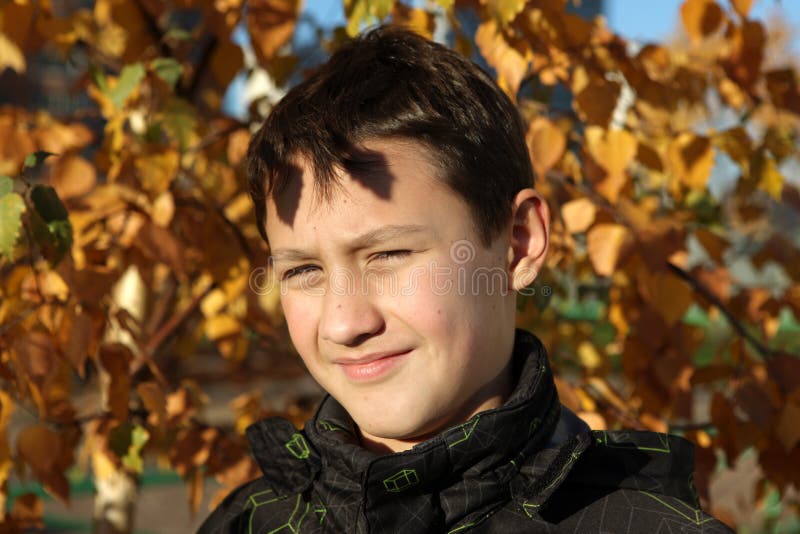 Boy at tree falling stock image. Image of portrait, happy - 35986159