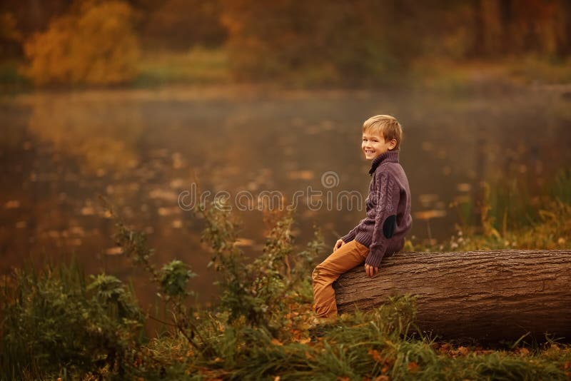 The boy in the tree stock photo. Image of beautiful, hair - 83626896