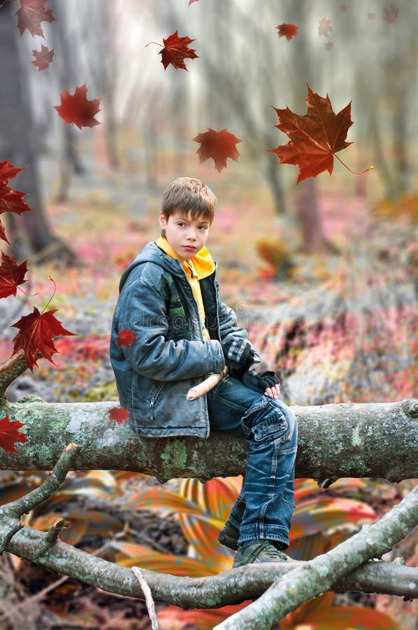 Boy on tree stock image. Image of wood, dump, branch - 85732177