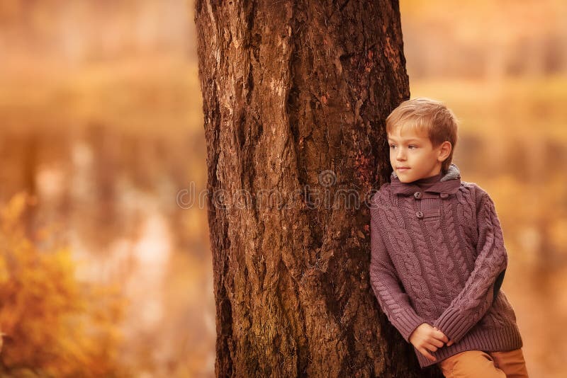The boy at the tree. stock photo. Image of blond, forest - 83626012