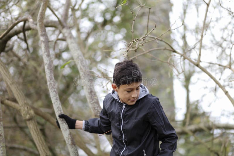 Teenager Climbing Tree