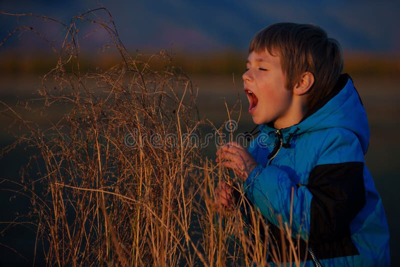 Boy Tries To Bite the Grass in a Field Stock Photo - Image of childhood ...
