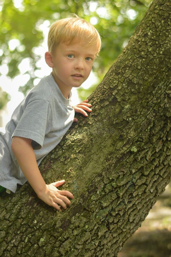 Boy in Tree stock photo. Image of lifestyle, summer, children - 53448118