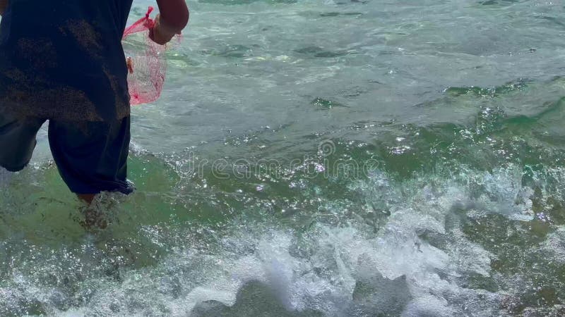 A Boy Trying To Catch Some Jellyfish on the Seaside Stock Footage ...