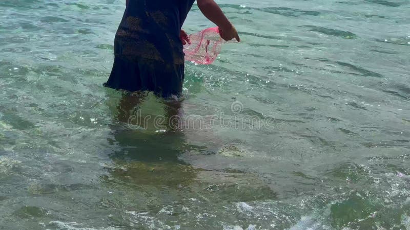 A Boy Trying To Catch Some Jellyfish on the Seaside Stock Footage ...