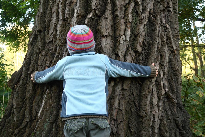 Boy hugging a big tree stock image. Image of sturdy, silhouette - 30975013