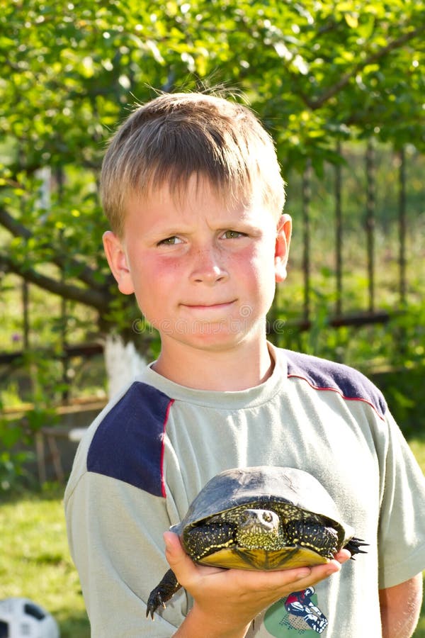 Boy with turtle stock photo. Image of home, sunny, care - 19845096