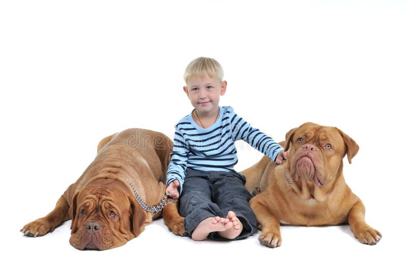 Two Big Dogs One Little Dog Stock Photos - Free & Royalty-Free Stock ...