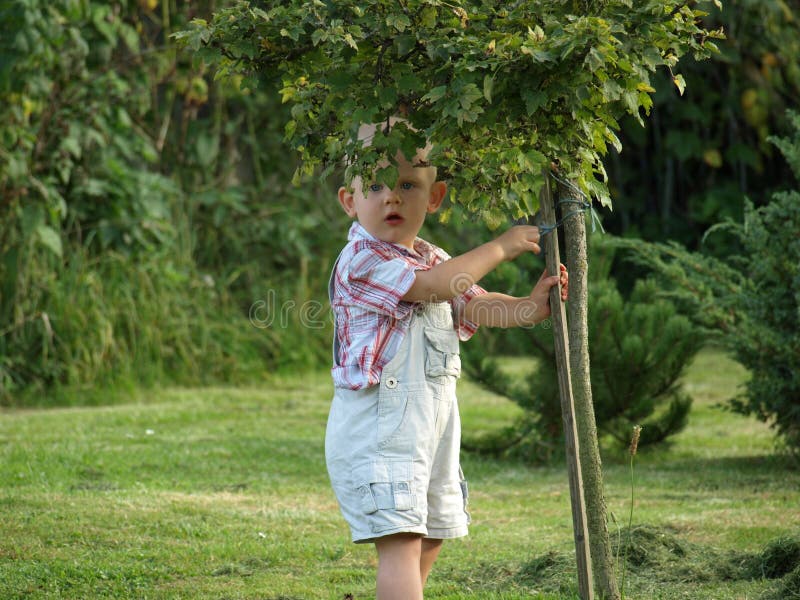 Boy under tree stock image. Image of staying, infant, stay - 6480357