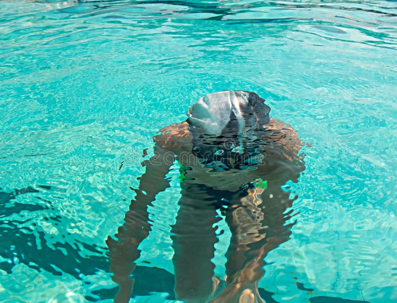 Boy Underwater from Above View Stock Image - Image of underwater, dive ...
