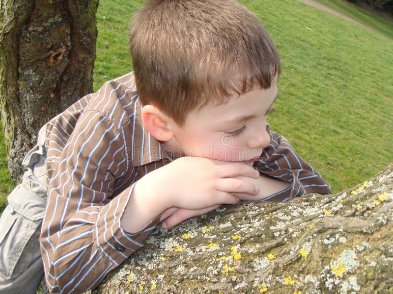 Boy up a tree stock photo. Image of dreaming, thoughtful - 8976348