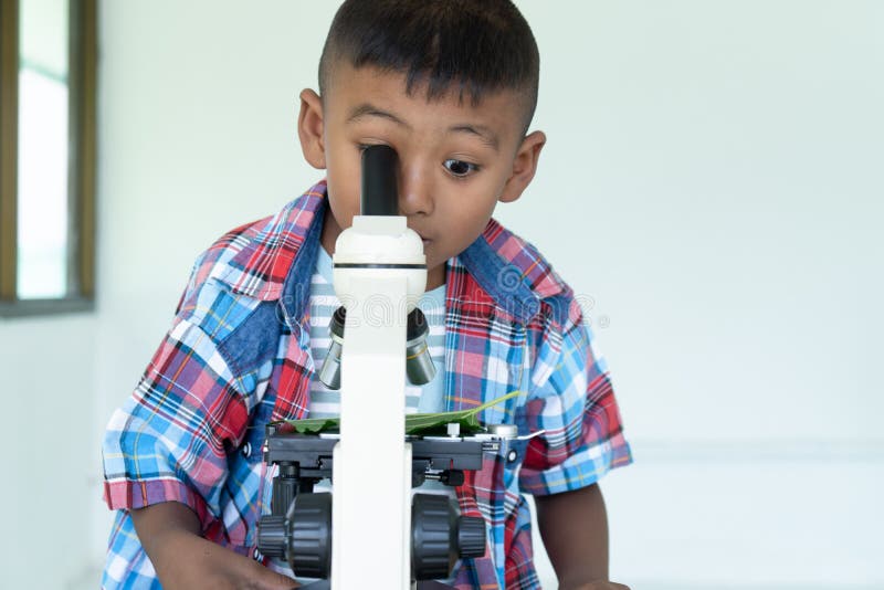 Asian Boy Use Microscope in Lab for Research Stock Photo - Image of ...