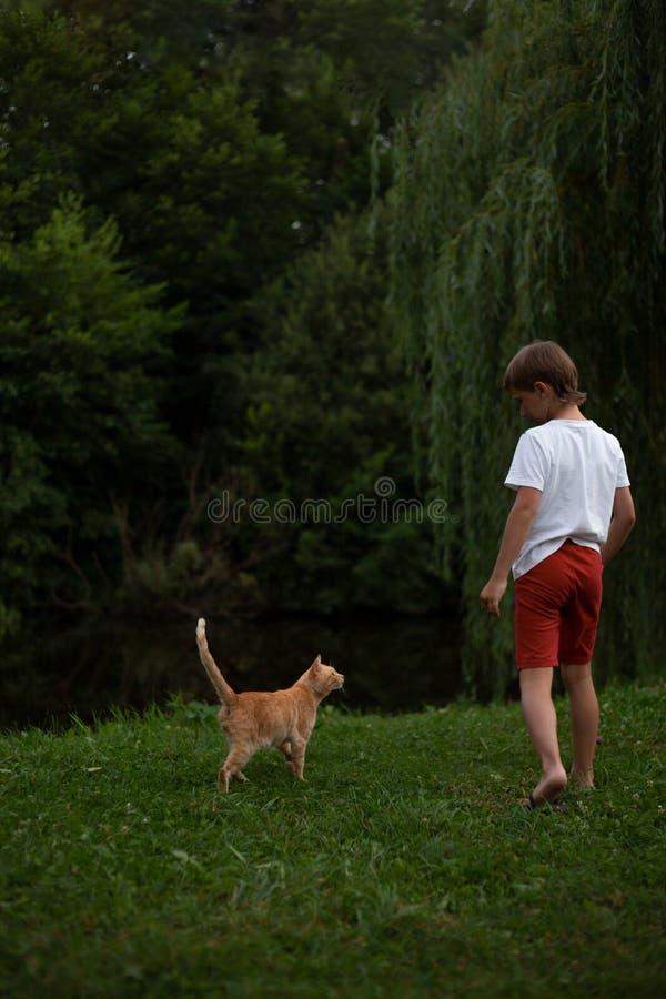 A Boy on a Walk with a Red Cat on the Green Grass among Large Green ...