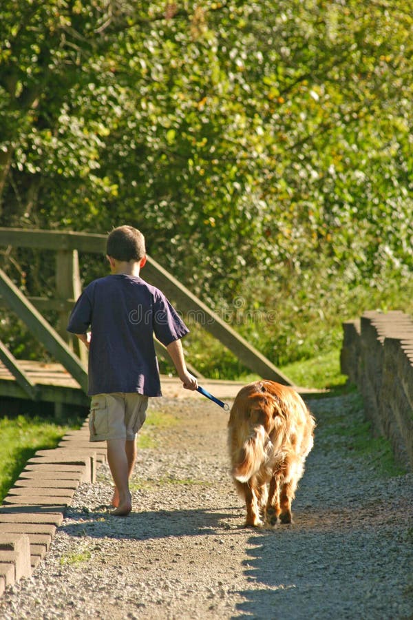 Boy Walking Dog stock image. Image of friends, companionship - 1327801