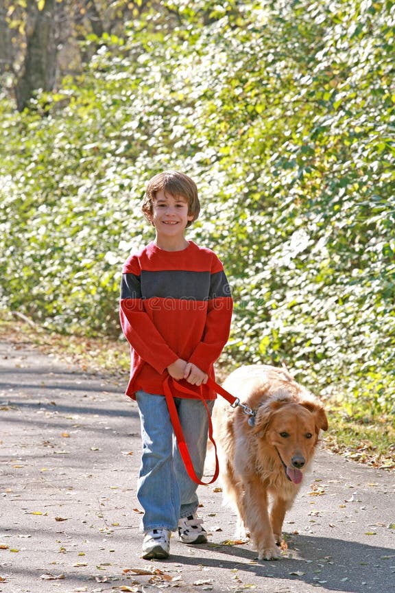 Boy Walking the Dog stock photo. Image of dogs, animals - 4334856