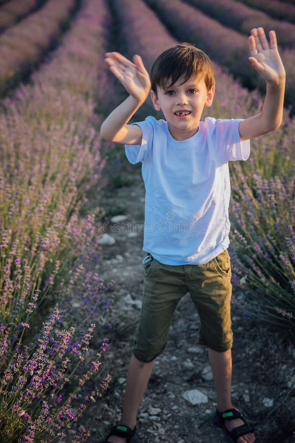 A Boy Walks in a Field of Fragrant Lavender Stock Image - Image of ...