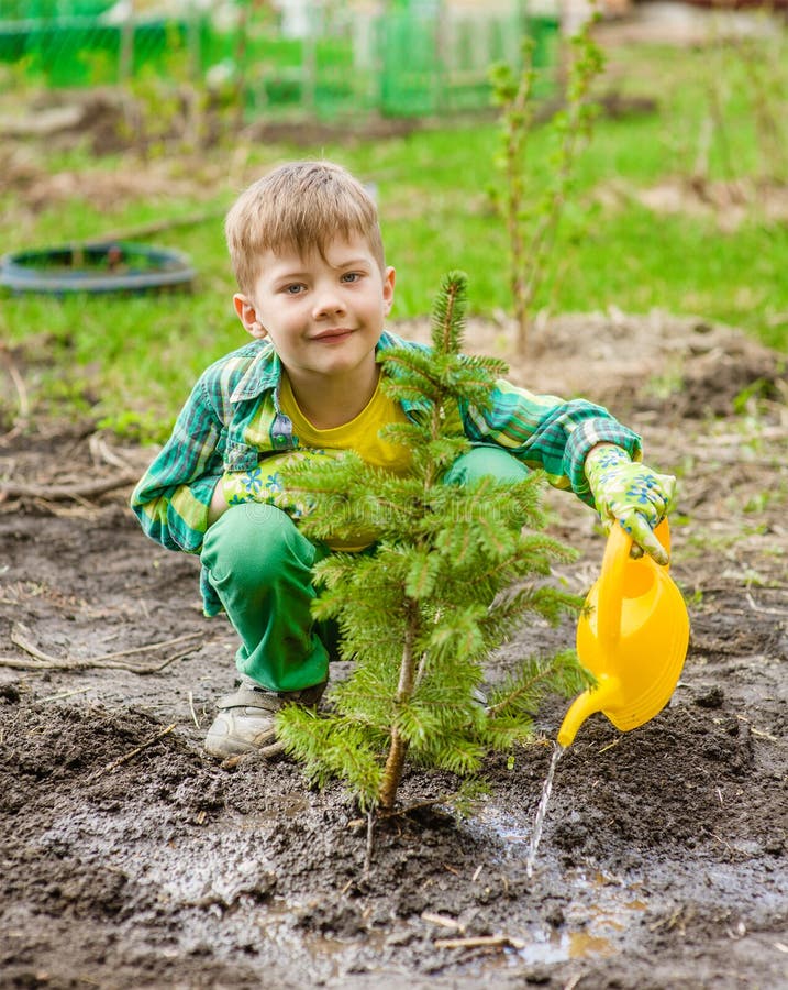 Happy Boy Watering a Sapling Tree Stock Photo - Image of gardening ...