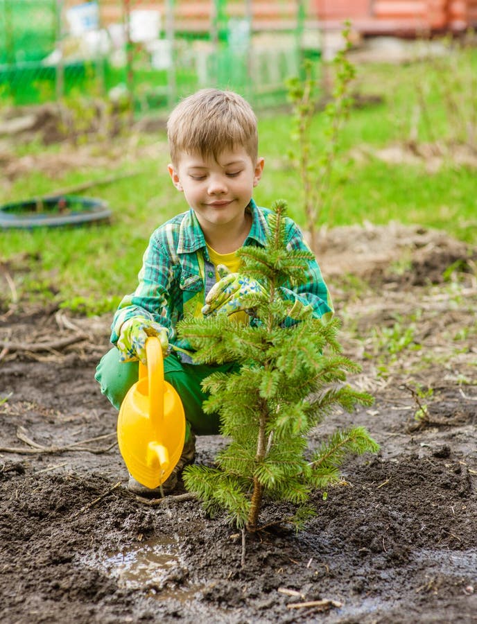 Happy Boy Watering a Sapling Tree Stock Photo - Image of gardening ...