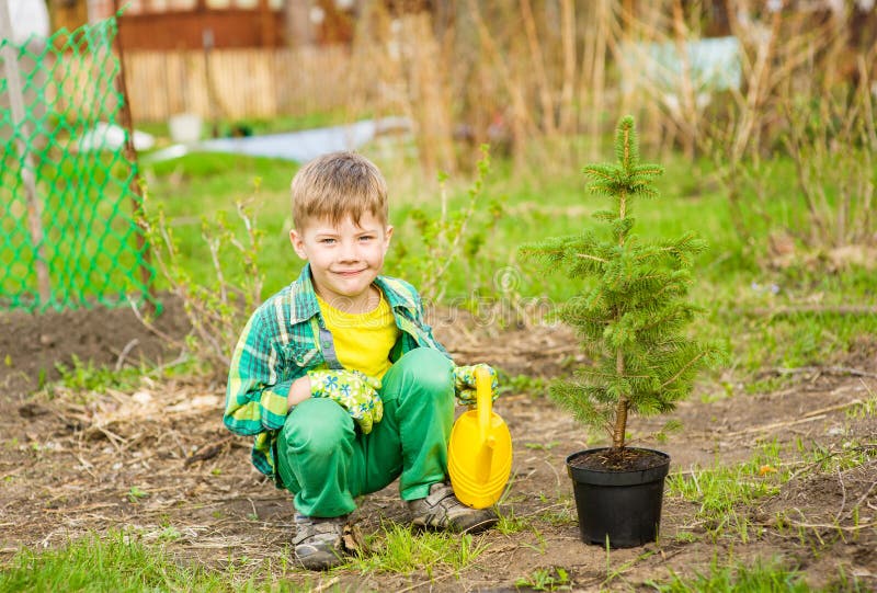 Boy Watering the Planted Tree Stock Photo - Image of camera, greenery ...