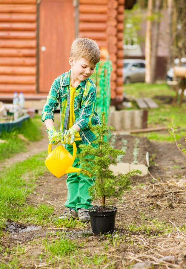 Boy Watering a Sapling Tree Stock Photo - Image of earth, planting ...