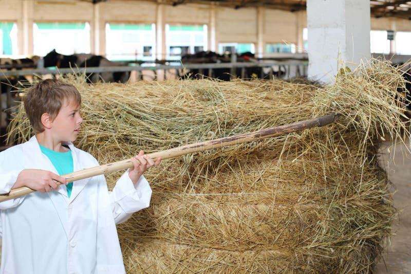 Boy in White Coat Loads Hay by Big Pitchfork at Stock Image - Image of ...