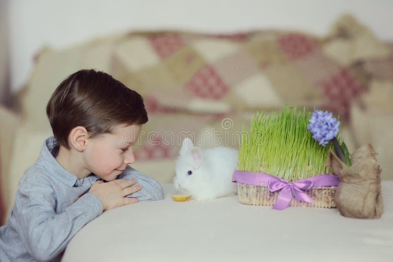 A boy and a white rabbit stock image. Image of isolated - 38478039