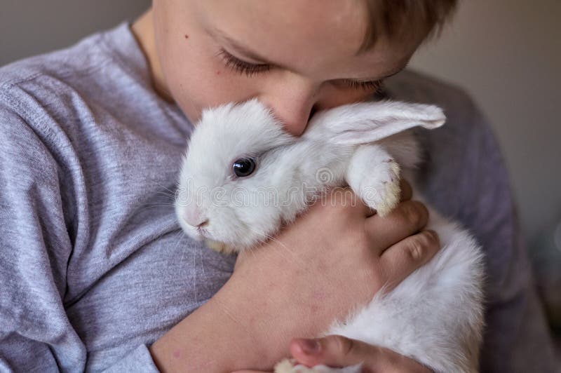 A Boy with a White Rabbit in His Hands Stock Photo - Image of ...