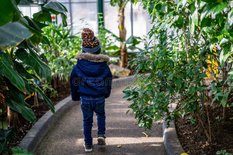 A Boy in Winter Clothing Walking through a Path Surrounded by Green ...