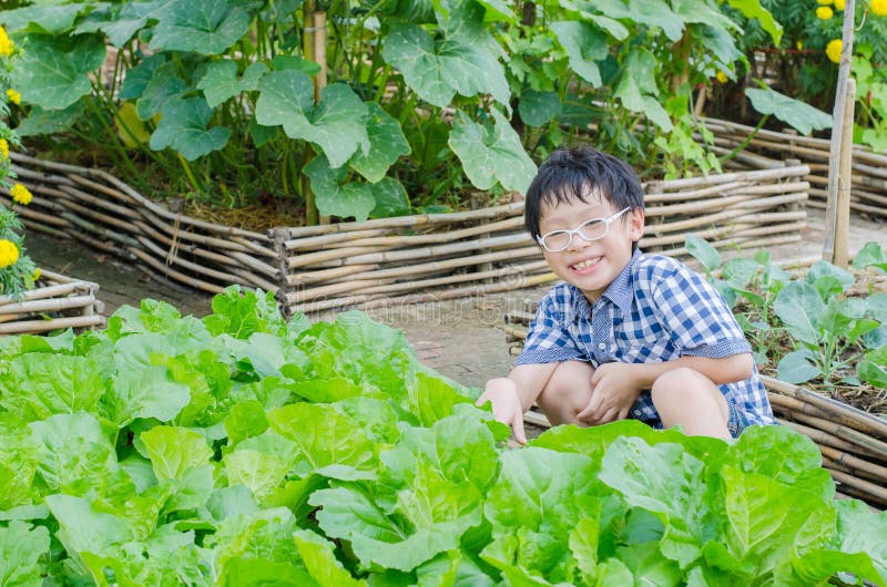 Boy working in farm stock photo. Image of nature, outdoor - 66393336