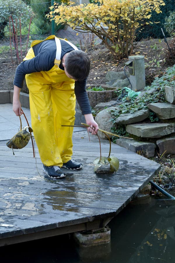 Boy Working in the Garden, Cleaning the Pond Stock Photo - Image of ...