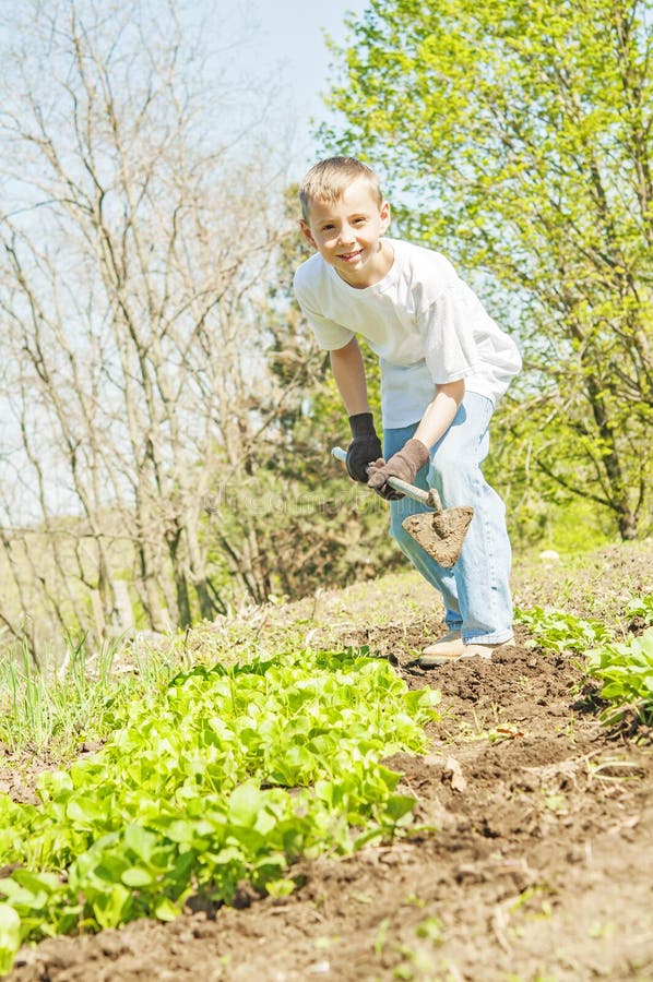 Boy Working Garden with Hoe Stock Photo - Image of gardening, working ...