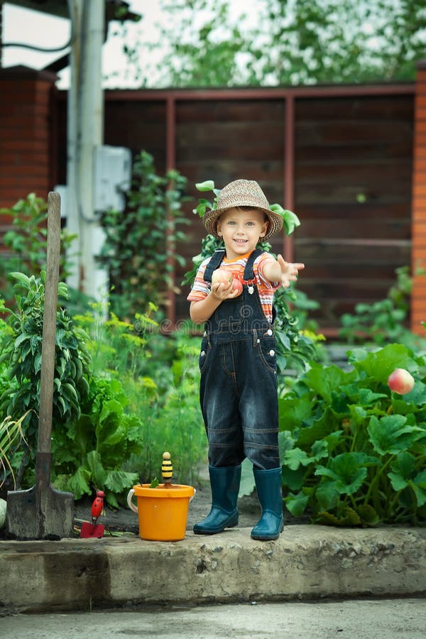 Boy working in the garden stock photo. Image of green - 31236426